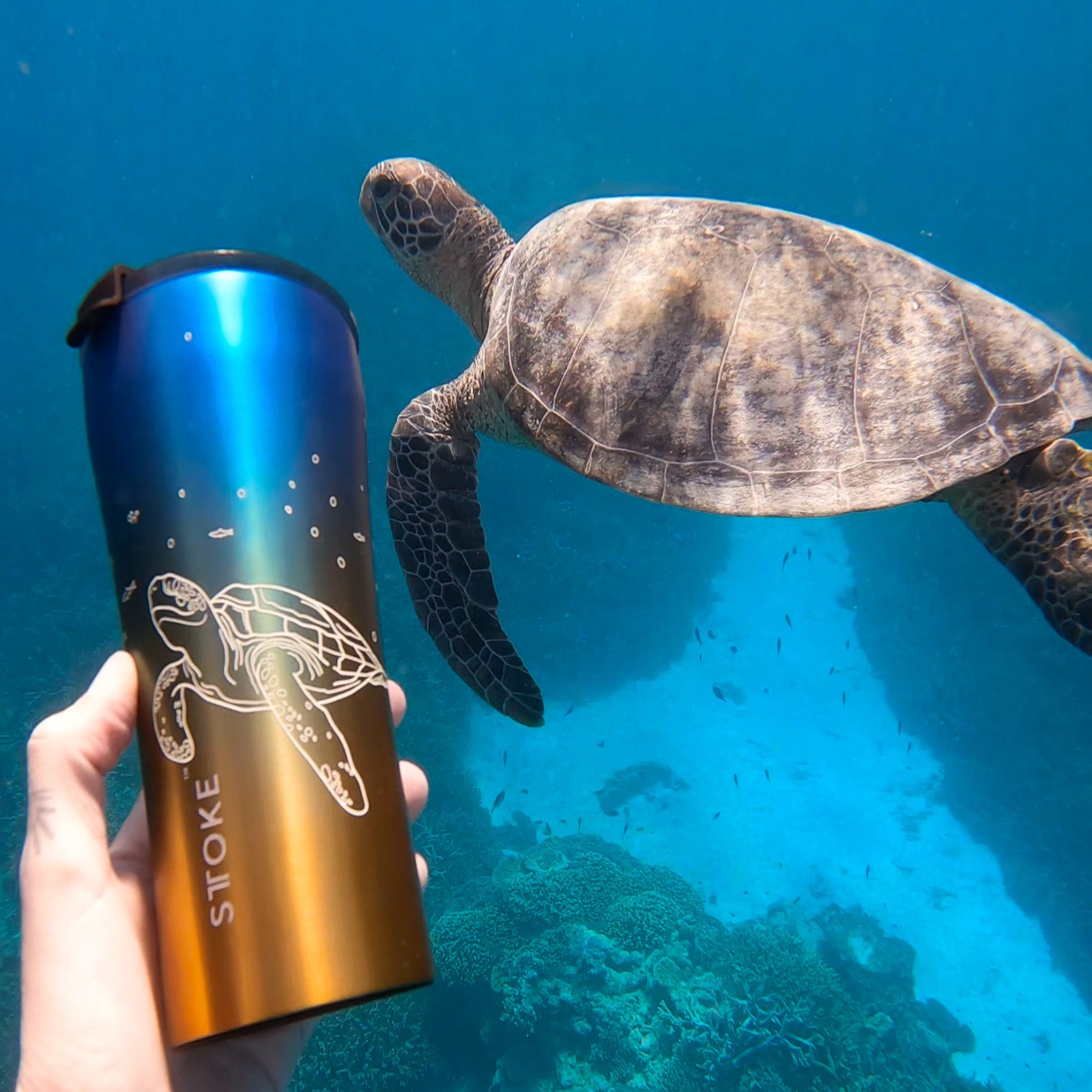 main-products – STTOKE Japan